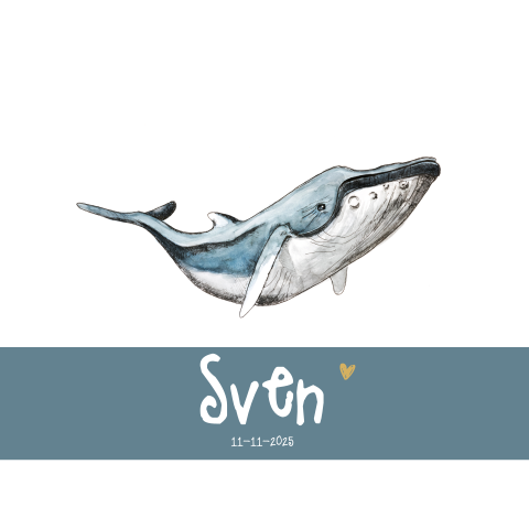 Geboortekaartjes met walvis | Hippe-Geboortekaartjes.nl
