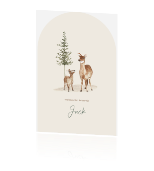 Origineel geboortekaartje in de vorm van een arch met hertjes